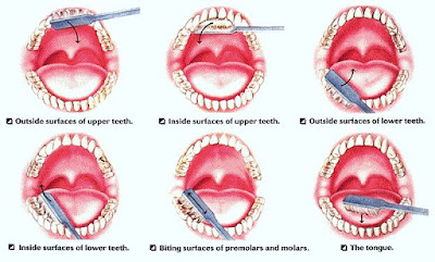 The Hygiene Department: The Guide to Proper Brushing