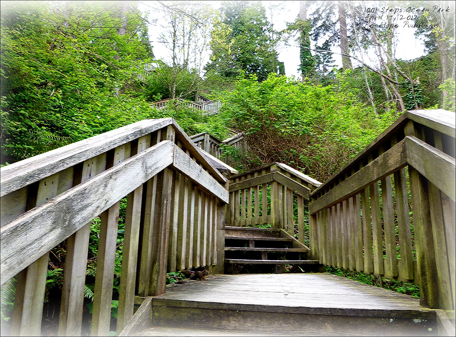 Musings of A Puddlist In B.C.: Opportunities & The Outdoors In My World