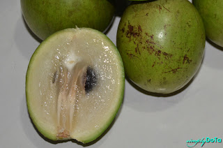 Dominus Stance: Food Trip 108 - Kaimito