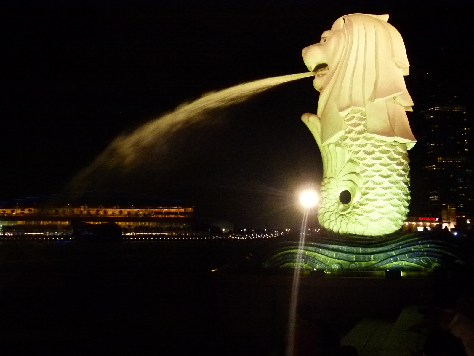 Merlion at night releasing water from mouth free picture for commercial use