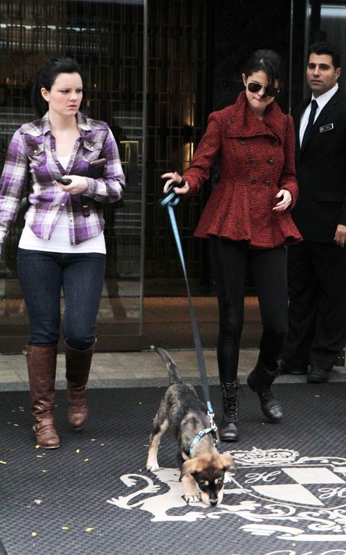 Lights, Camera.....FLASHDANCE!: Didn't I Say.....