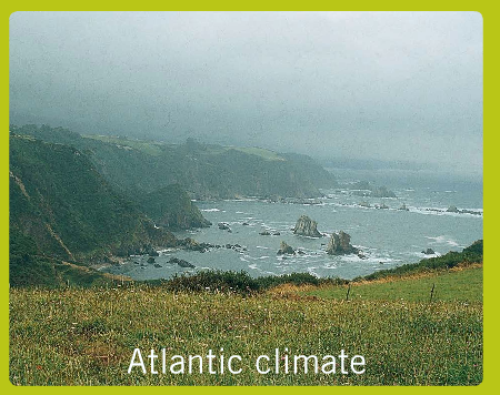 Mi primer año en Red XXI: CLIMATE - The environment (Unit 9 - Science Y5)