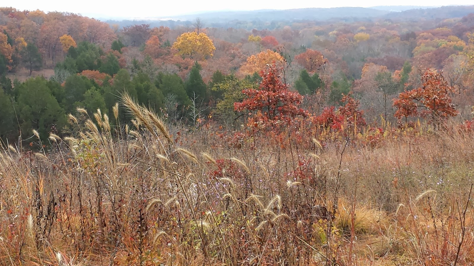 Divinebunbun's Rugged Rural Missouri: 2013