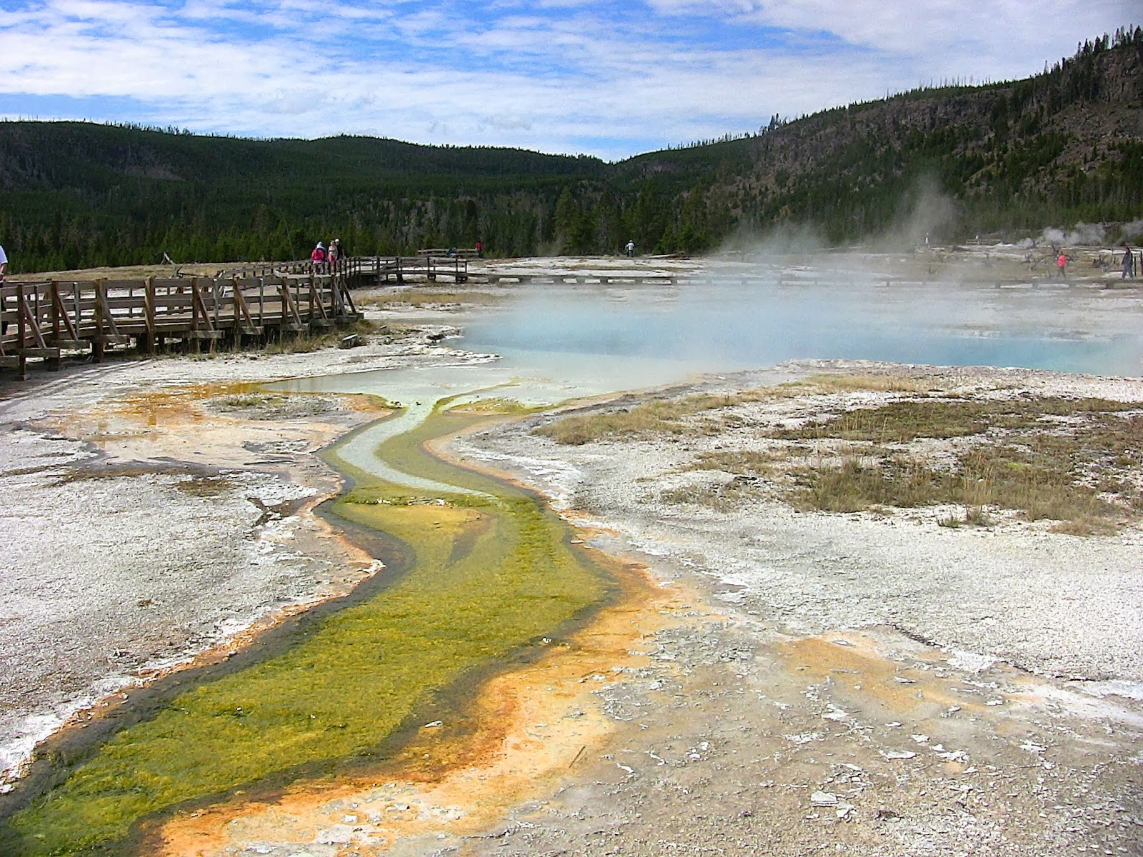 BayMoonDesign: Yellowstone National Park in an Inspiration for AJE ...