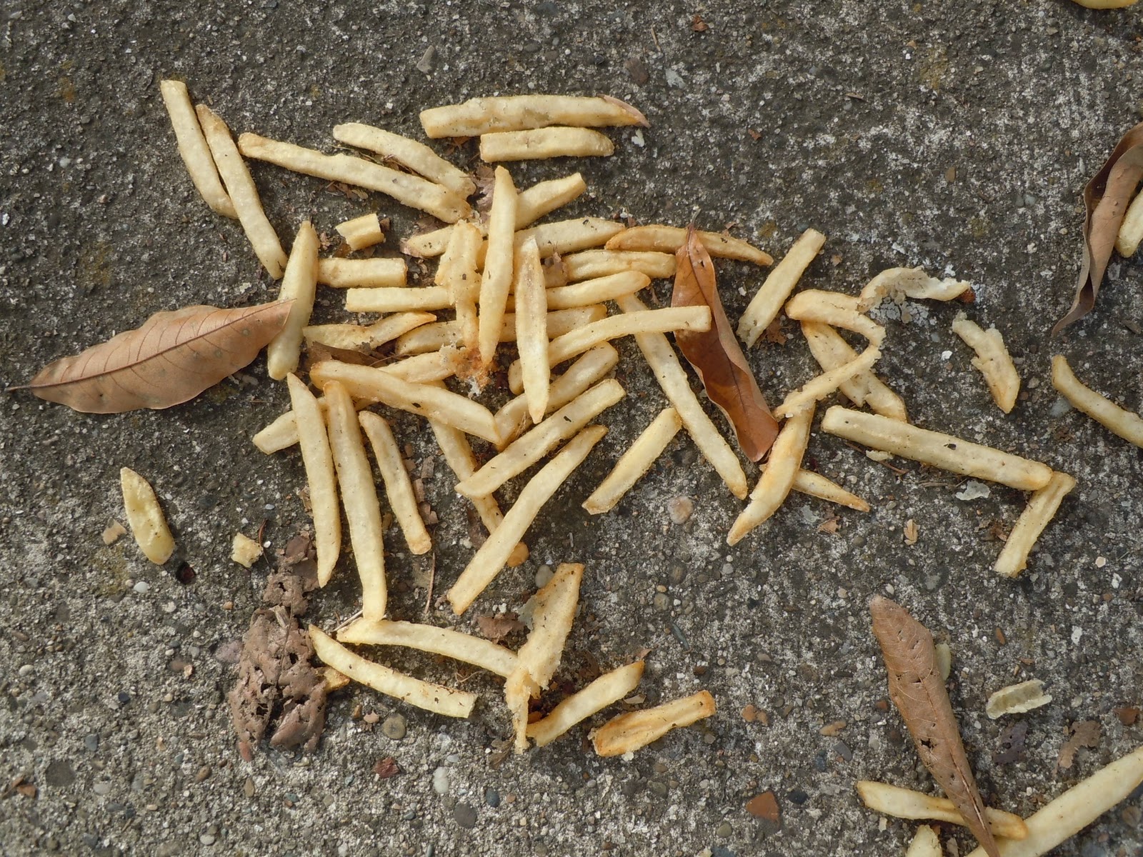 Art With a Needle: Photo suite 4 -- food on the ground