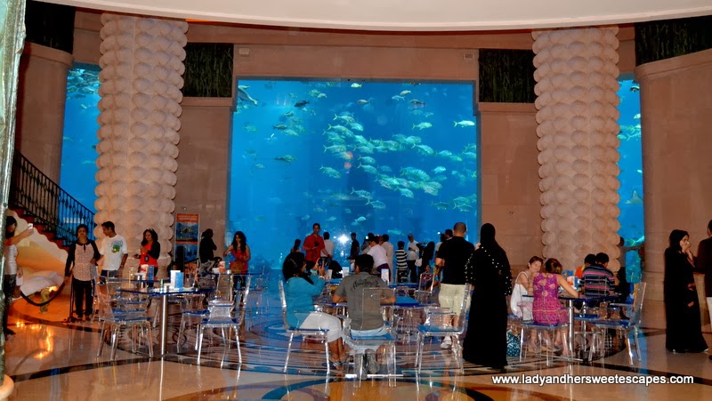 The Ambassador Lagoon at Atlantis The Palm | Lady & her Sweet Escapes