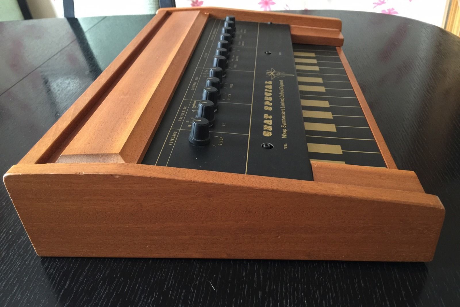 MATRIXSYNTH: Electronic Dream Plant (EDP) Gnat Special Synthesizer