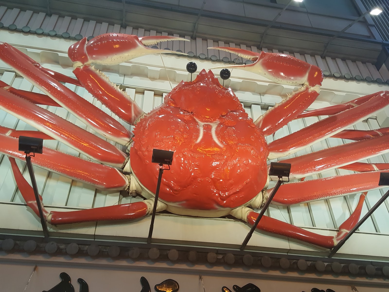 Crab Leg Galore! @ Kani Doraku, Dotonbori, Osaka + A Takoyaki
