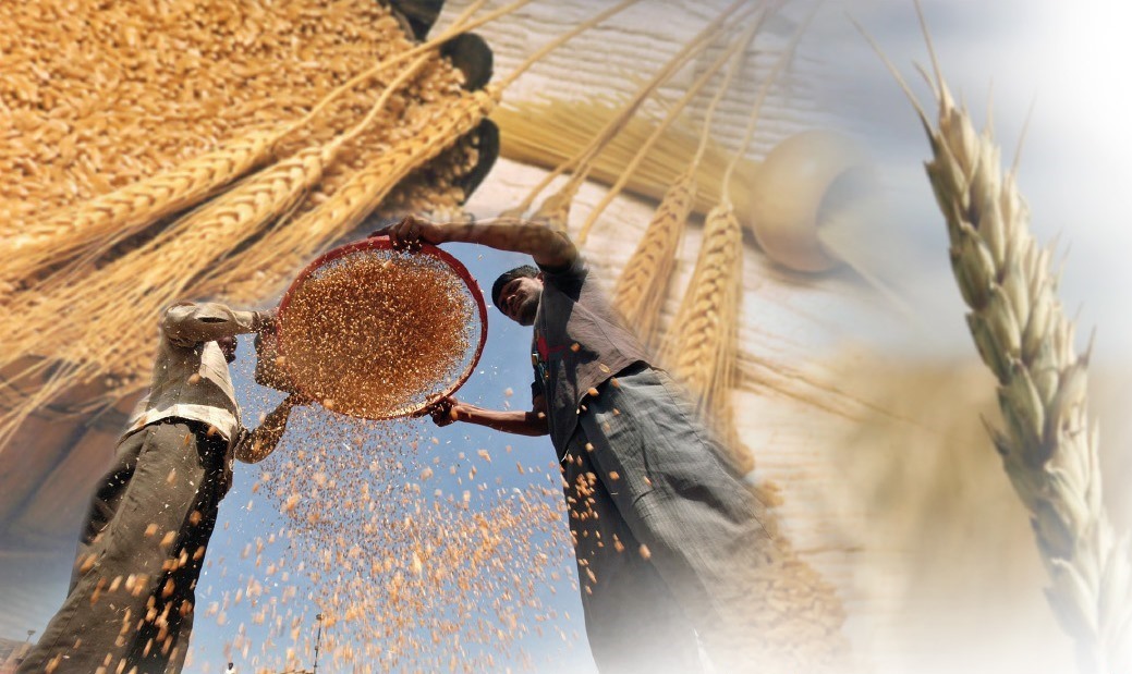 Devocional Diario - Dayse Costa: La zaranda de Satanás