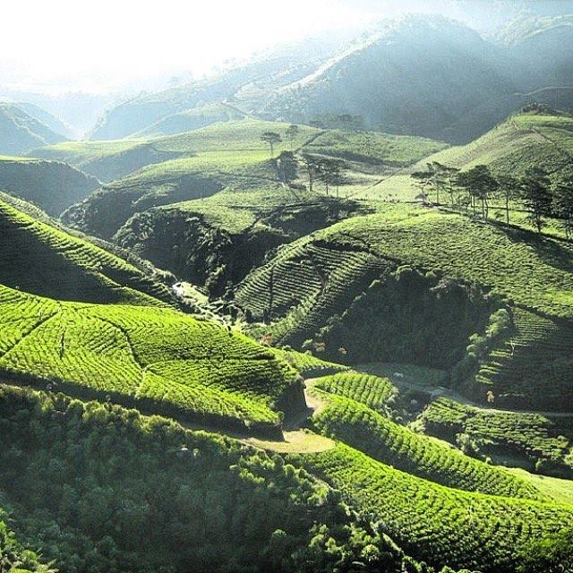 Traveling Yuk ke Brebes.. - Basis Informasi