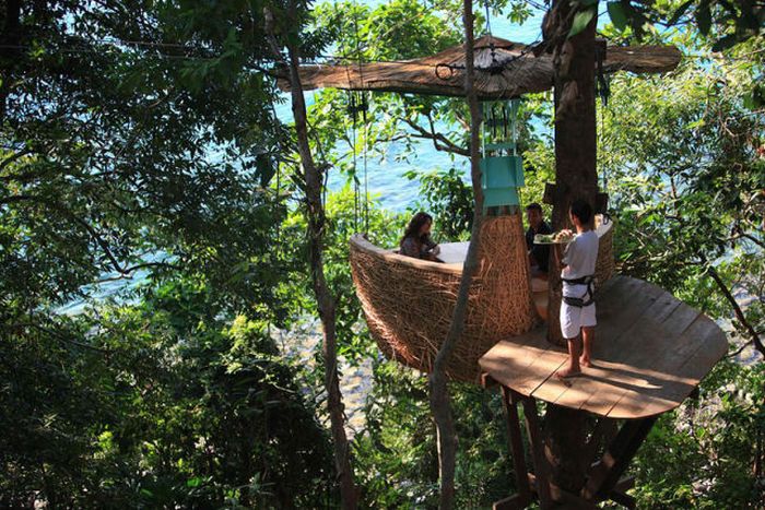 Amazing Tree Top Restaurant in Thailand (7 pics) | Daily Fun Pics