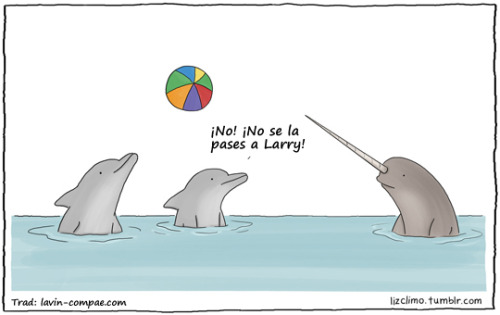 Mamíferos Marinos: Los narvales