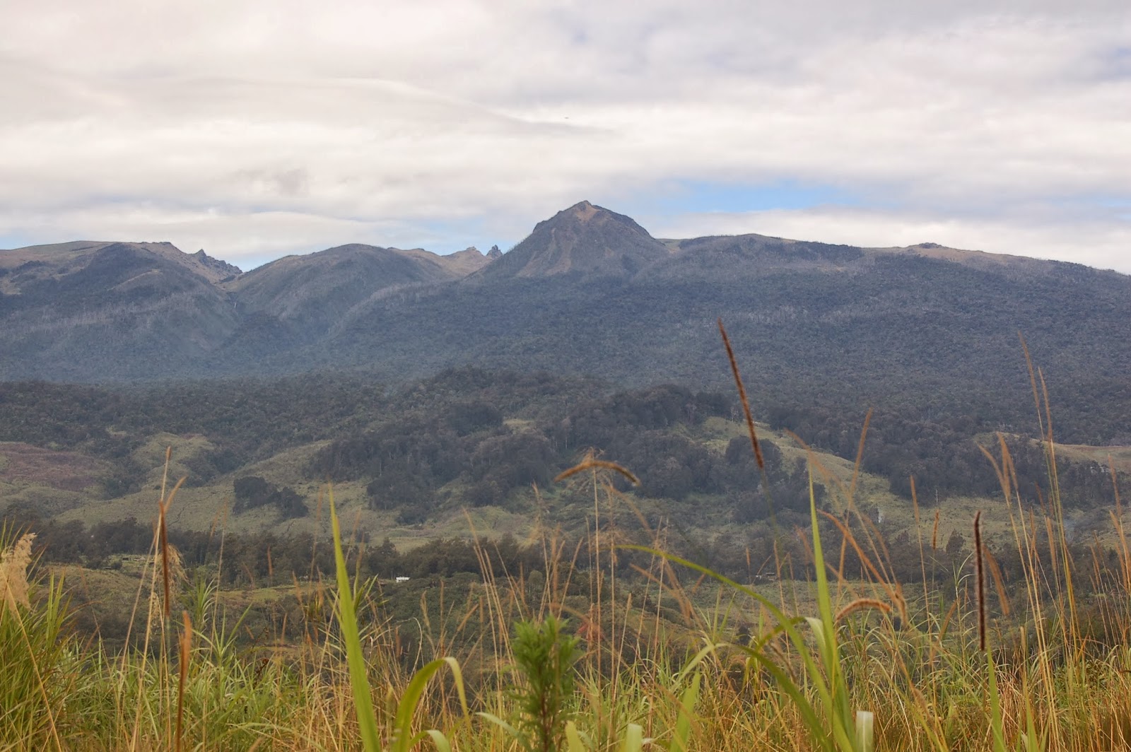 Niugini Exotic Travel Blog: Landmarking Mt.Giluwe - 7th Volcanic Summit ...