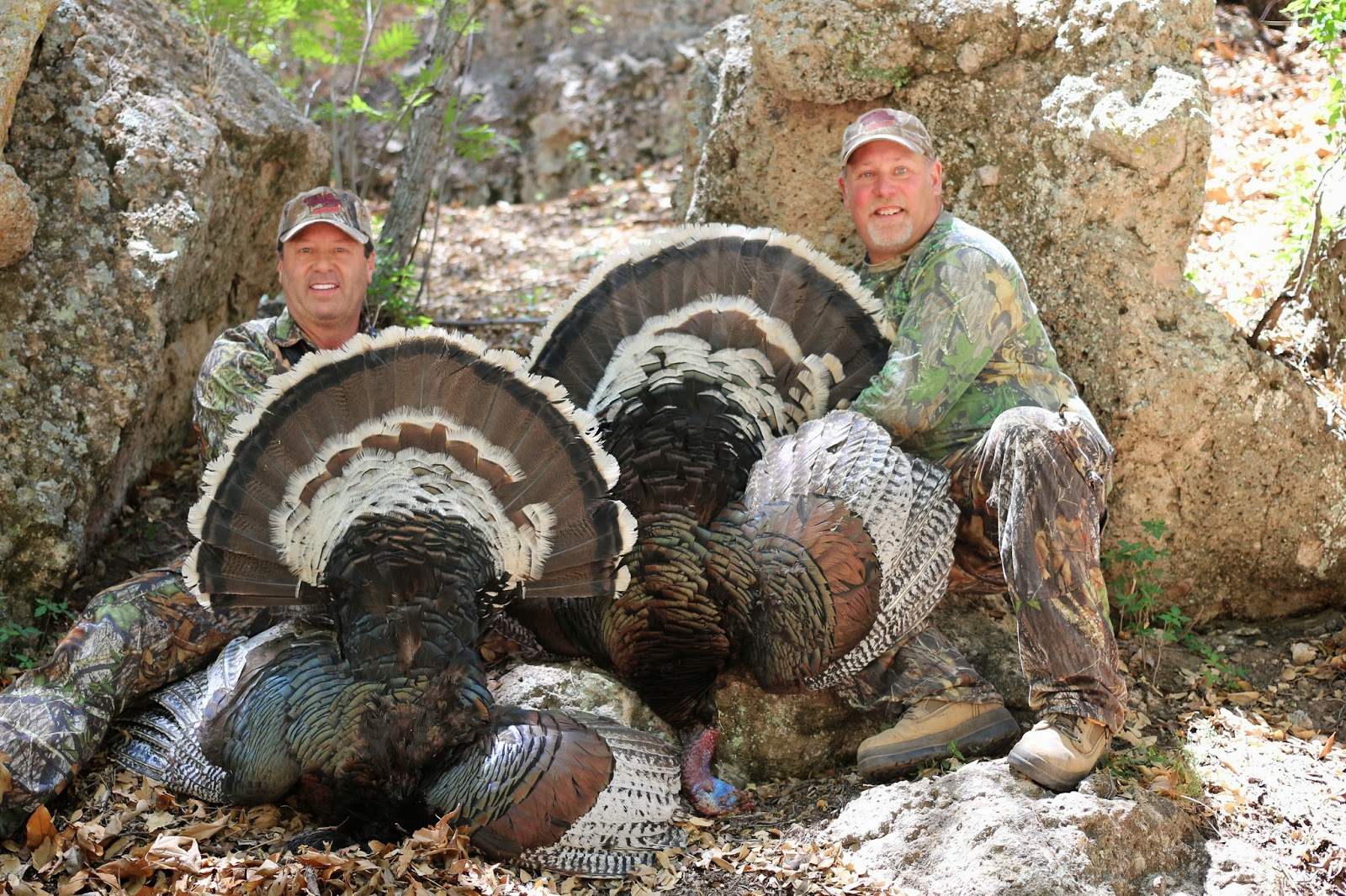 Goulds Turkey Hunt: June 2016