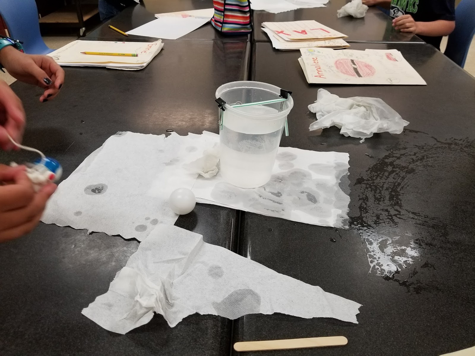 Engineering is Elementary: Organization in an Elementary Engineering ...