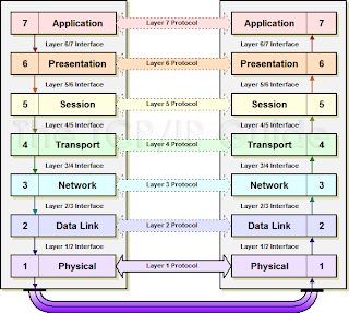 IT Academic Training: The OSI (Open System Interconnection) Reference Model