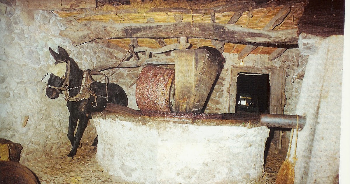 MI CUENTO DE CADA DÍA.: EL MULO ORGULLOSO DE SU ORIGEN.