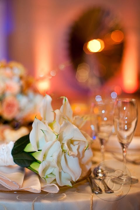 Weddings at the Hawthorne Hotel: Gorgeous PEM Wedding (Peabody Essex ...