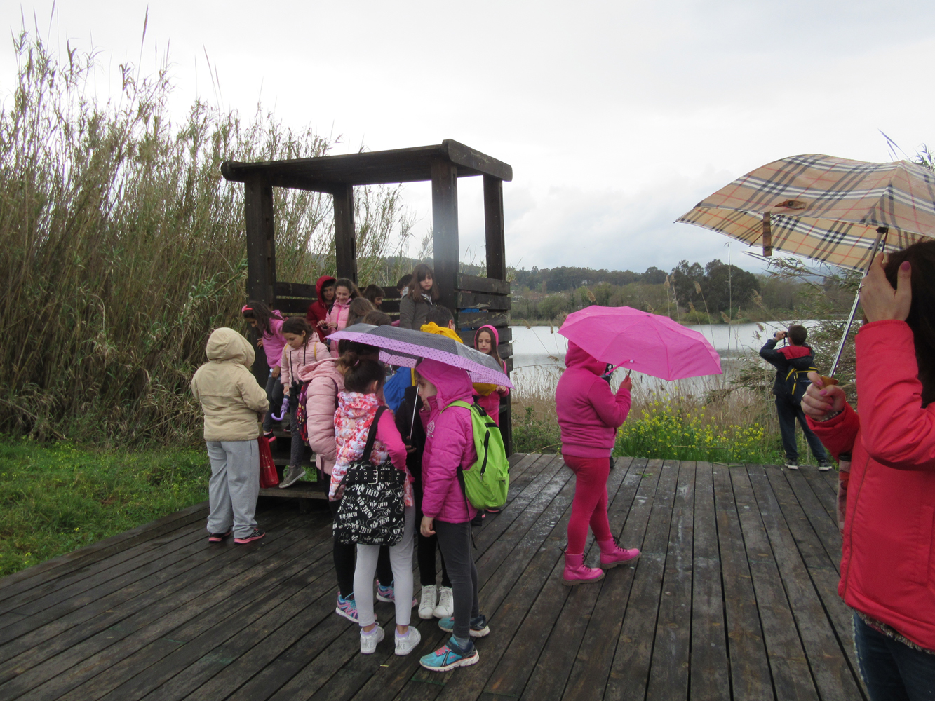 ΚΕΝΤΡΟ ΠΕΡΙΒΑΛΛΟΝΤΙΚΗΣ ΕΚΠΑΙΔΕΥΣΗΣ ΒΑΜΟΥ: Μαρτίου 2017