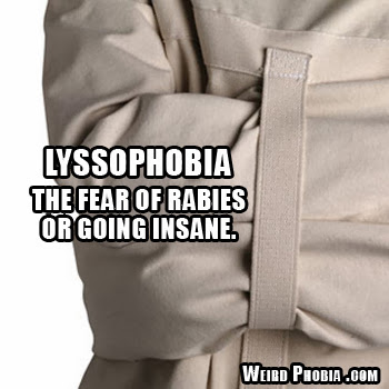 Collections: November 2013