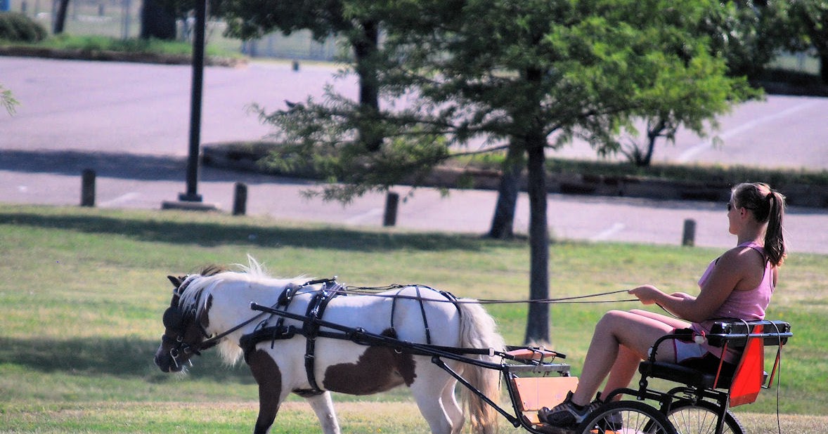 Terrell Daily Photo: Hitchin a ride