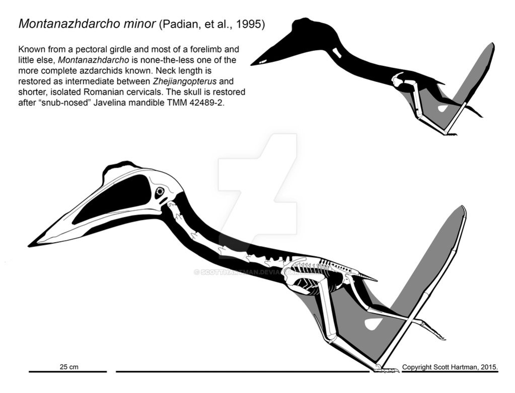 Escenarios prehistóricos: 09/23/11