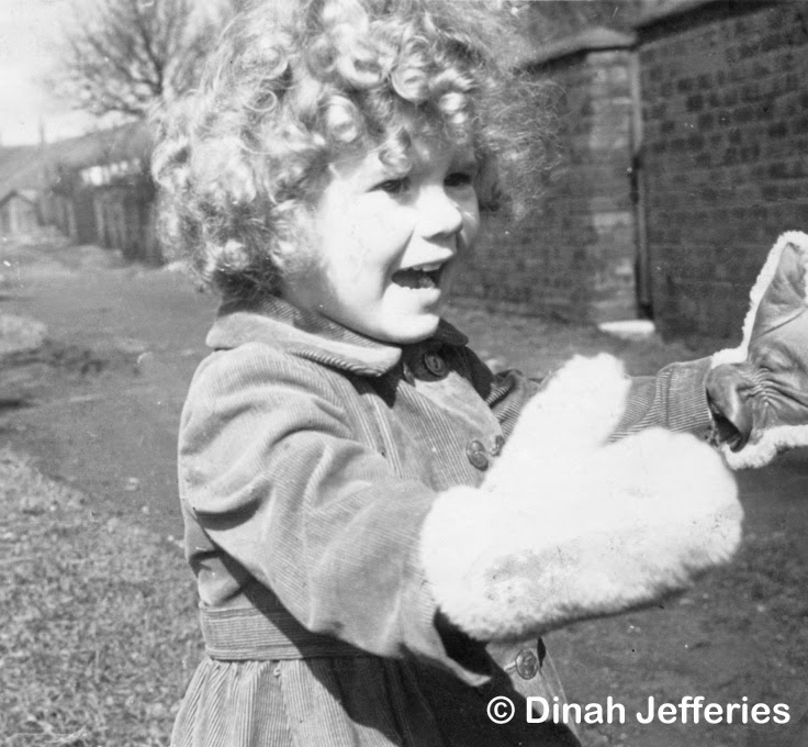 Author Interview: Dinah Jefferies: The Separation: The Tea Planters ...