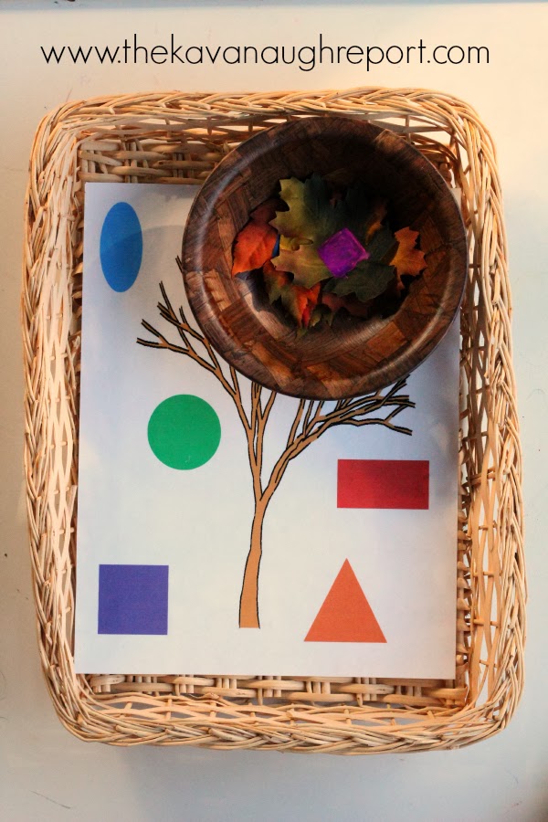 Fall Theme Tot School