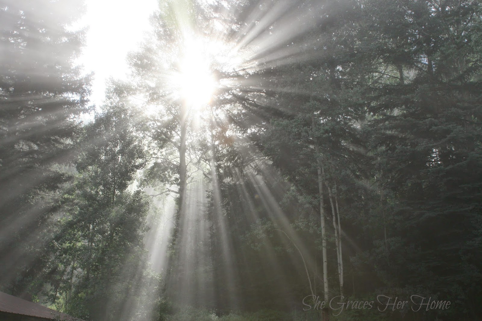 She Graces Her Home In God's Beauty: A Gracious Woman