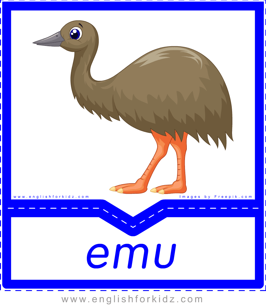 English for Kids Step by Step: Printable Australian Animals Flashcards