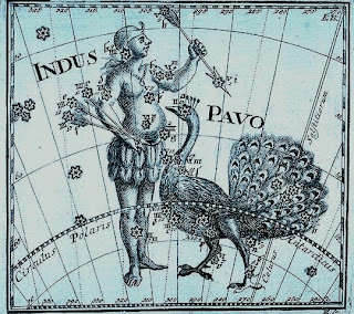 Astronomia: Pavo ( Pavão )
