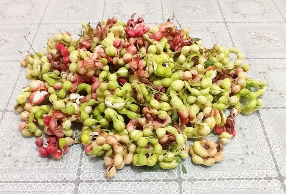 If I Could Have My Time