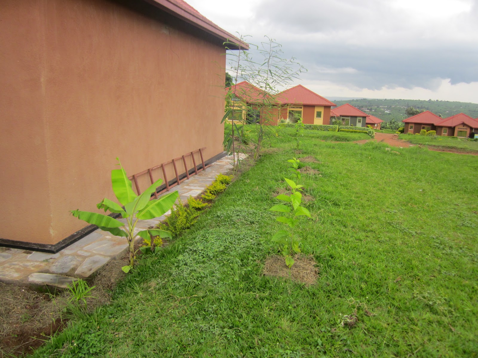 A Garden Love Affair in Rwanda: Gardens and what they say about you...