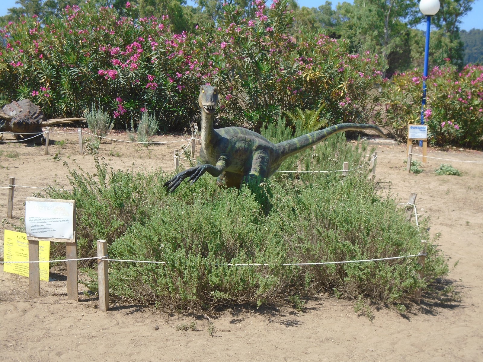 5 ΝΗΠΙΑΓΩΓΕΙΟ ΚΑΛΑΜΑΤΑΣ : ΕΚΔΡΟΜΗ ΣΤΟ ΠΑΡΚΟ ΤΩΝ ΔΕΙΝΟΣΑΥΡΩΝ