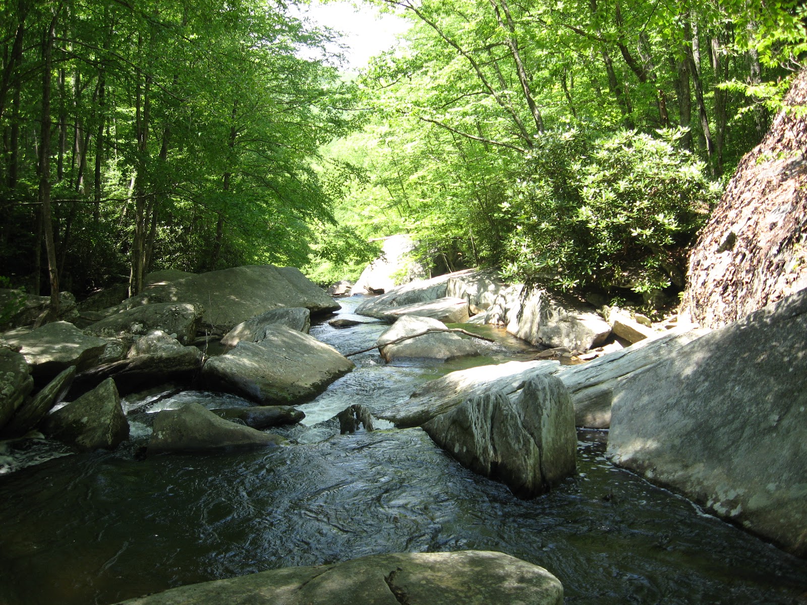 greenmon's folly: May 26 Boone Fork Trail
