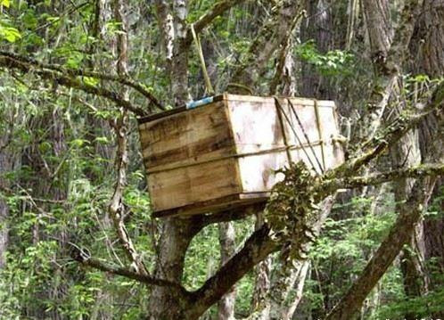 Deformutilation: Tibetan Tree Burial