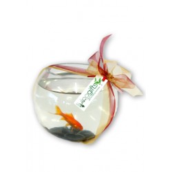 Send Friendship Day Gifts