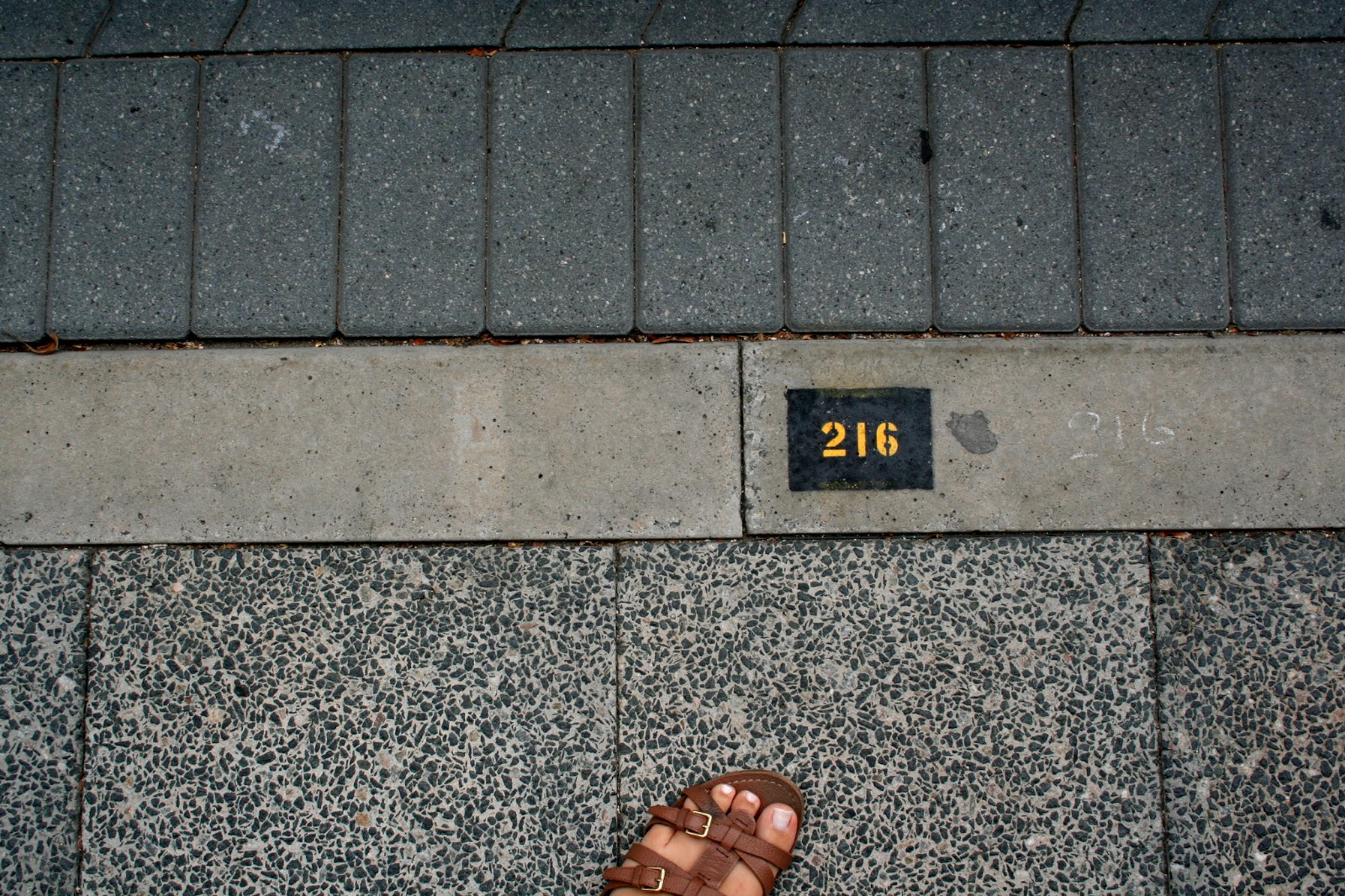 heodeza-216-days