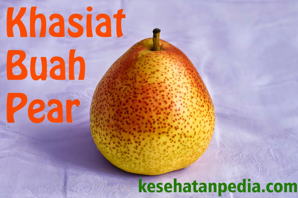 Khasiat Buah Pear untuk Kesehatan - kesehatanpedia