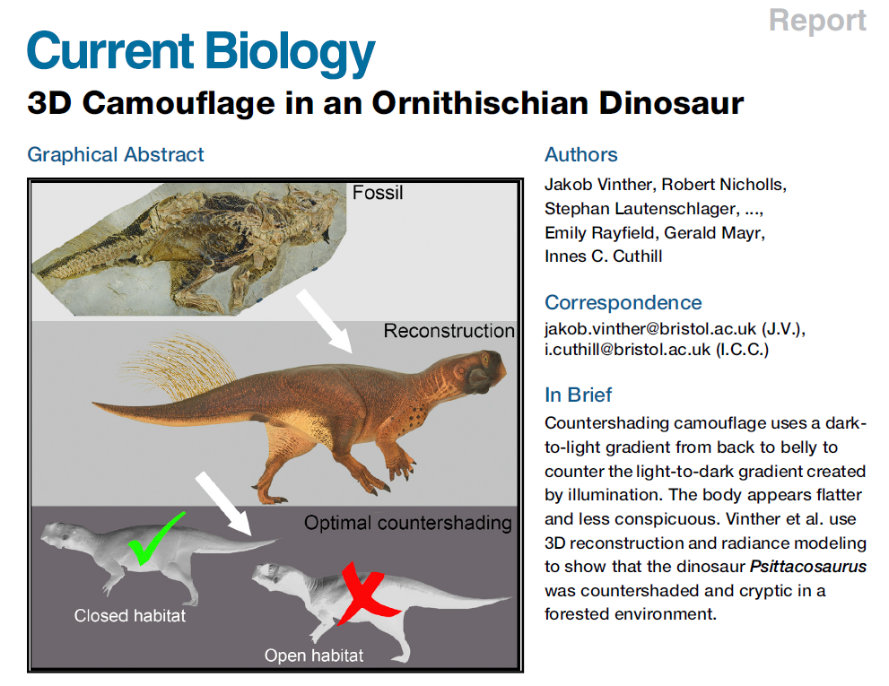 Palaeos, la historia de la Vida en la Tierra: ¿Qué tanto alboroto con ...