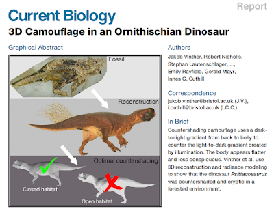 Palaeos, la historia de la Vida en la Tierra: ¿Qué tanto alboroto con ...