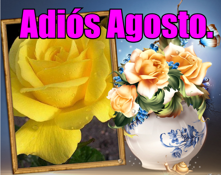 ADIÓS MES DE AGOSTO....