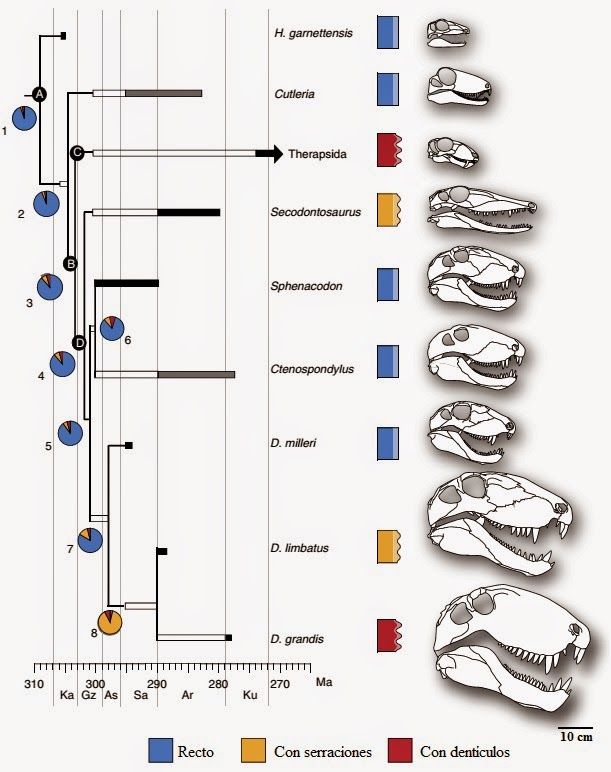 Palaeos, la historia de la Vida en la Tierra: mayo 2014