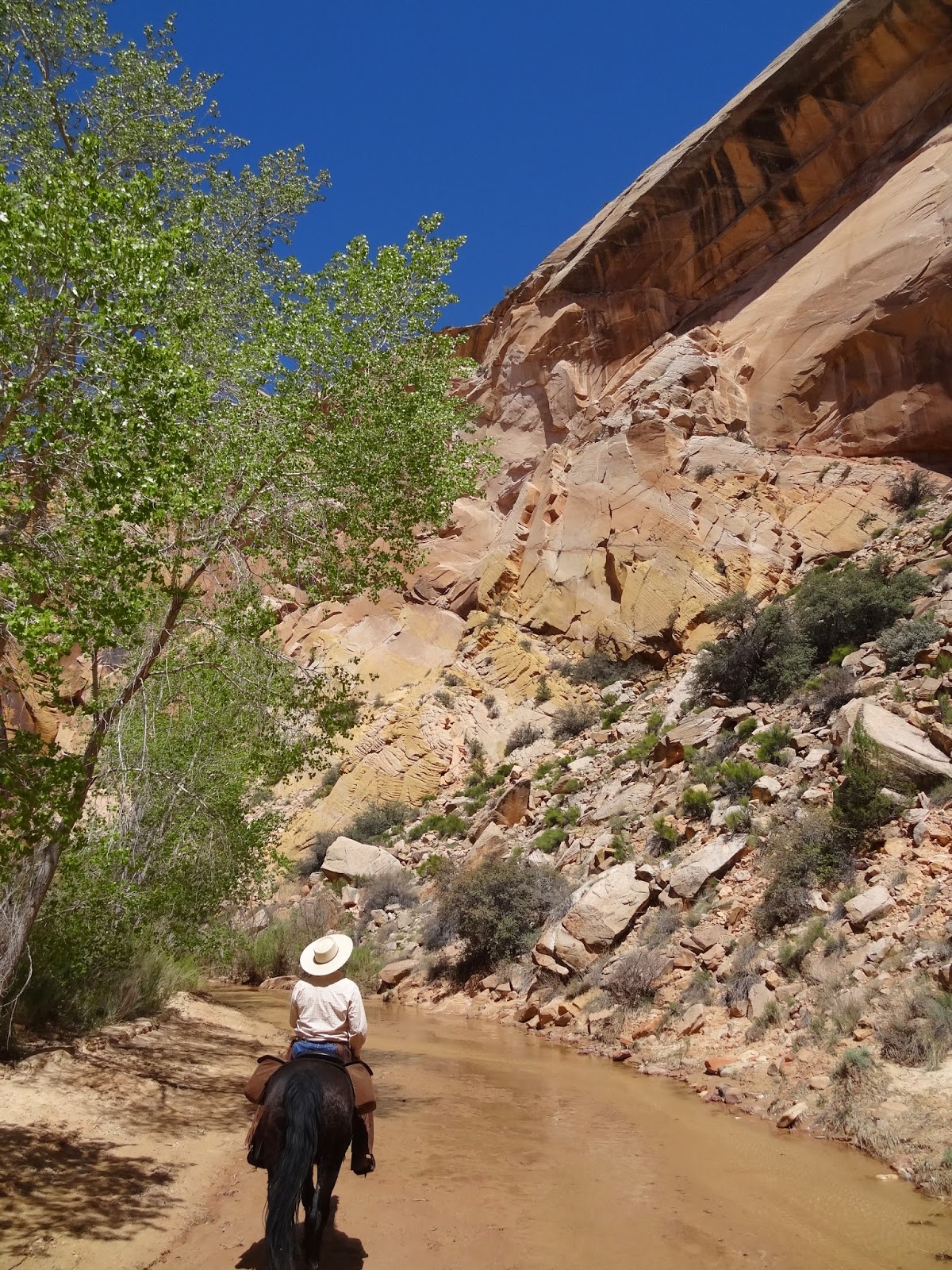 Dream Packer Trail Adventures: Paria River to Lower Hackberry Canyon, Utah