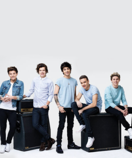 One Direction (Directioners)