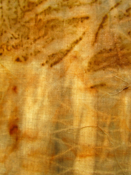 The Silly BooDilly: Rust Stains