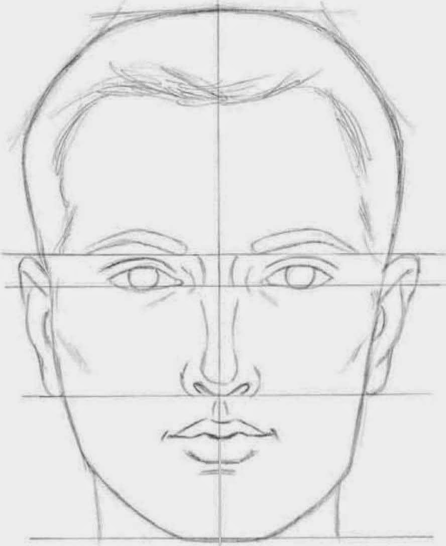 Drawings: ADULT FACIAL PROPORTIONS
