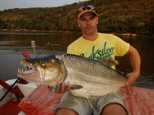 Giant Goliath Tigerfish