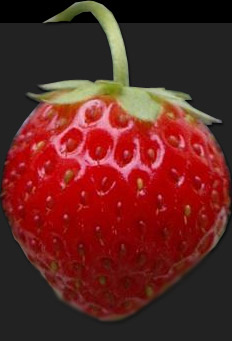 Suri's Cupcakes: Wordless Wednesday - Splash Stoberry!