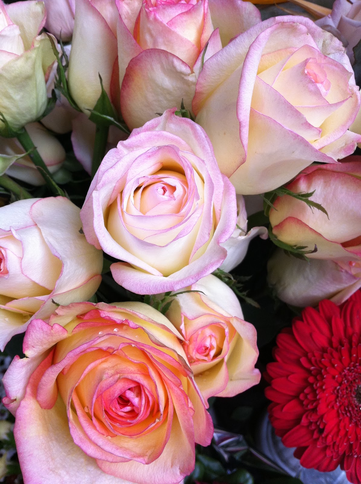 Arte De Pata: ARMANDO COLORES: Rosa cálido y Rosa frío básicos... Cómo ...